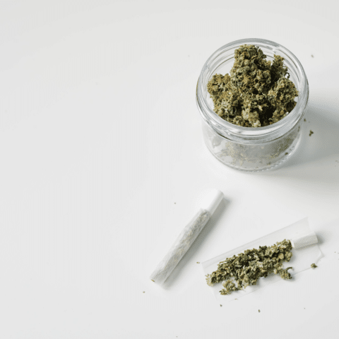 Skywalker OG Strain: Aroma, Flavor, Effects | WHTC LA