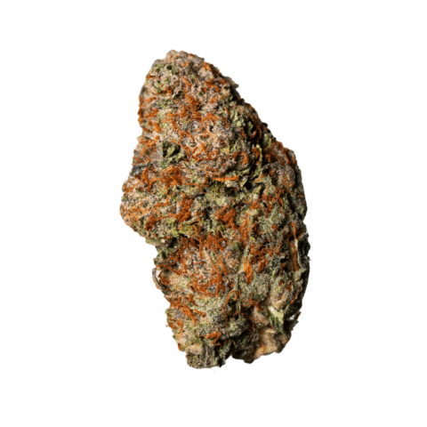 Apple Fritter Strain: A Guide for Cannabis Consumers